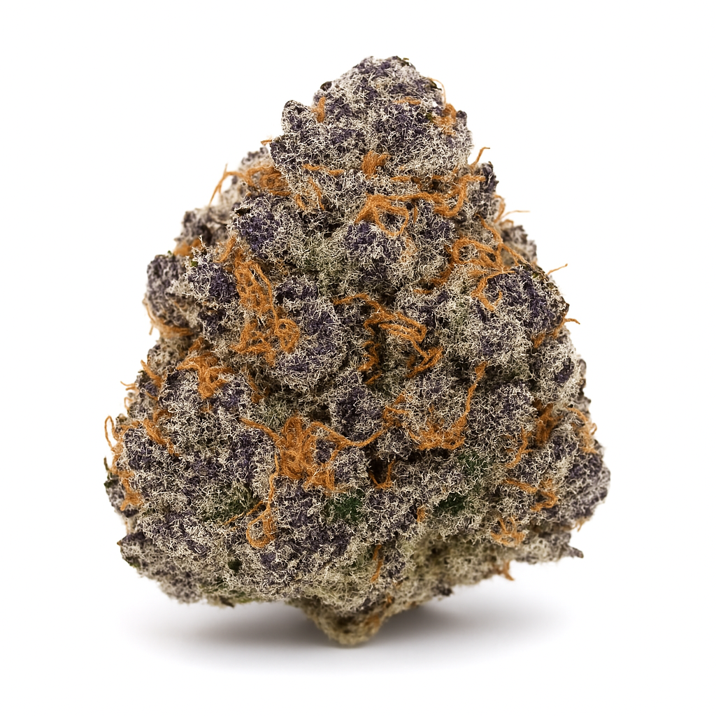 Purple Horchata – Fiesta Island Flower